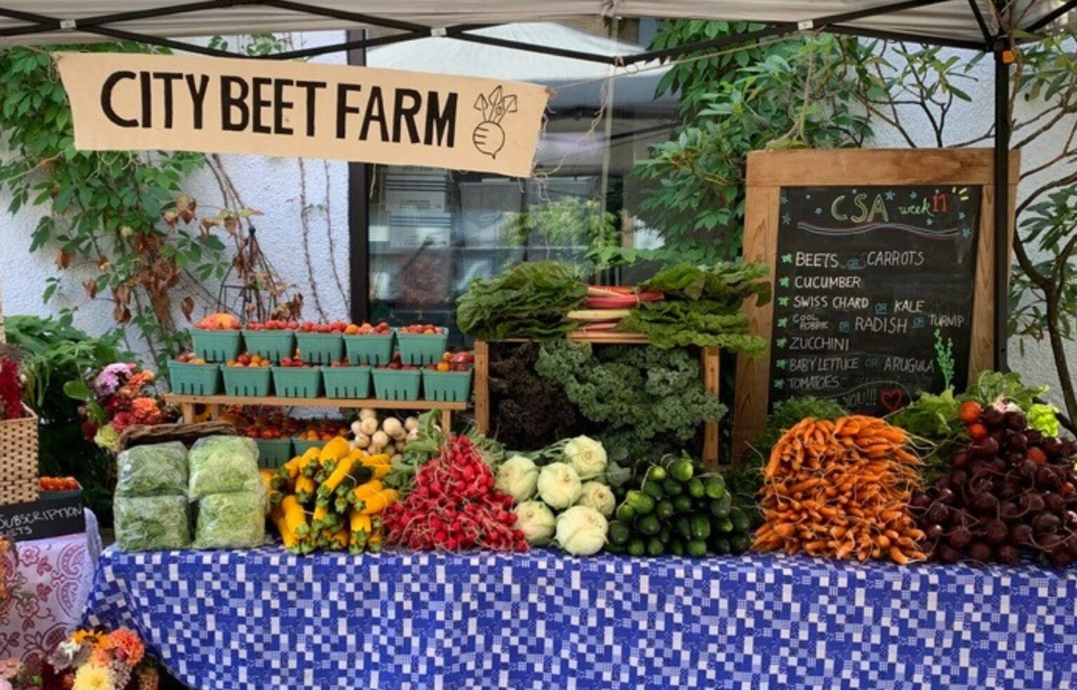 City Beet Farm: Veggies for Neighbours - Jewish Family Services